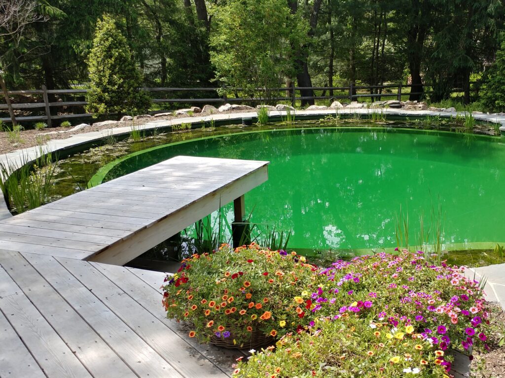 5 Great Add-ons to a Natural Swimming Pool - BioNova®